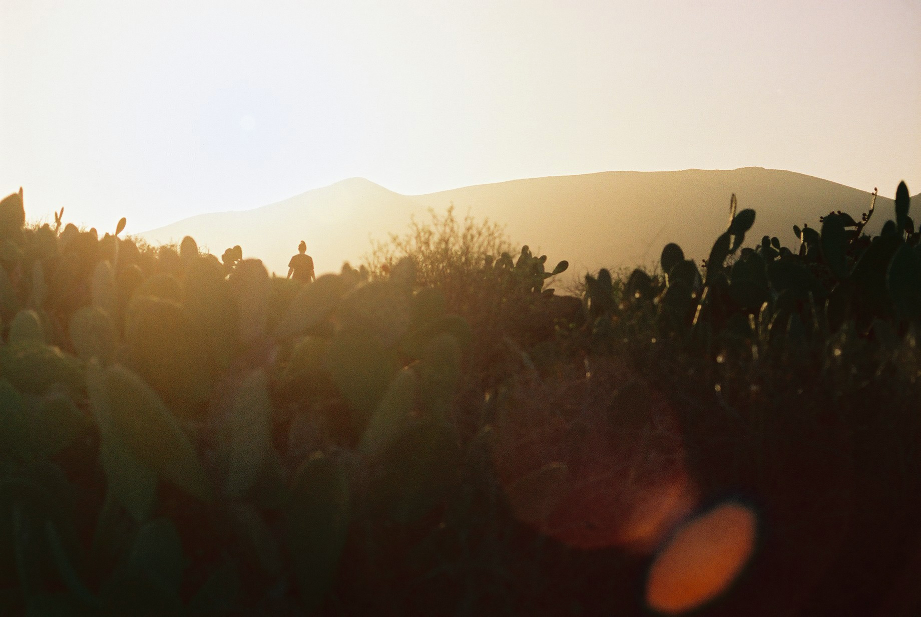 On Sharks, Art and Love - Anja Høvik Strømsted and Jasmin Hurst